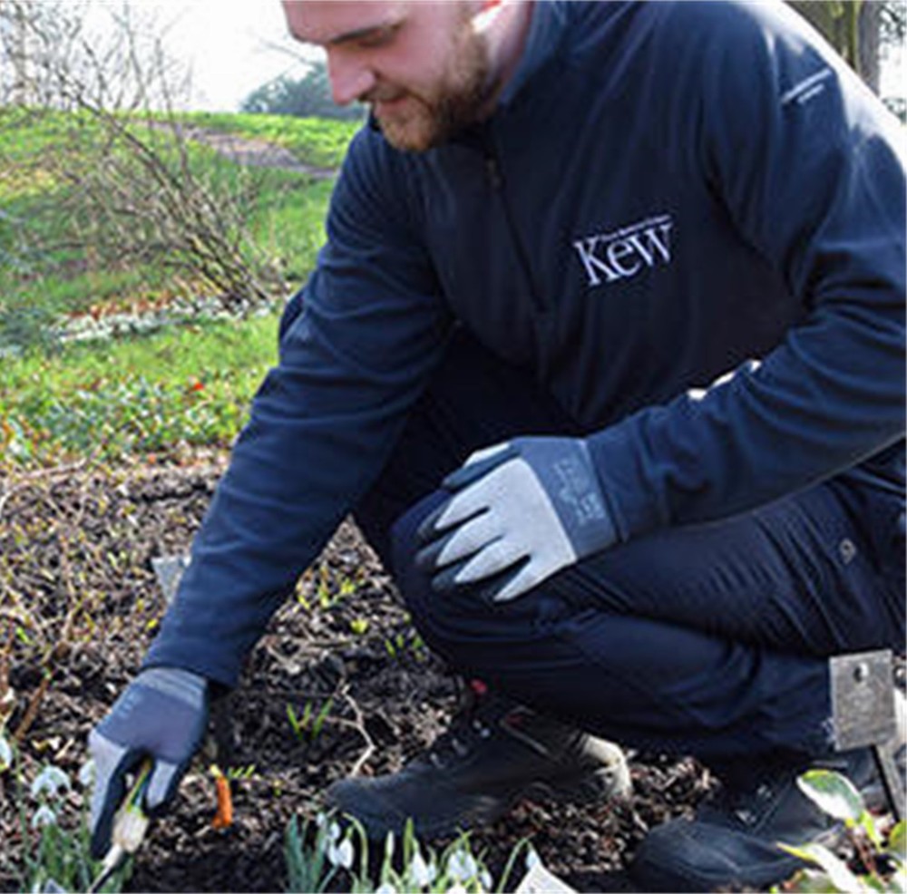 Spear & Jackson Kew Gardens 3020KEW Stainless Steel Transplantin - The ...