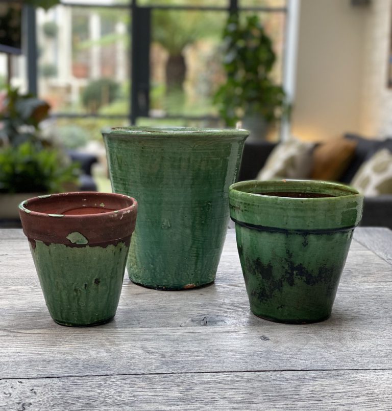 Burmese Tom Pot Green - Medium - The Nunhead Gardener